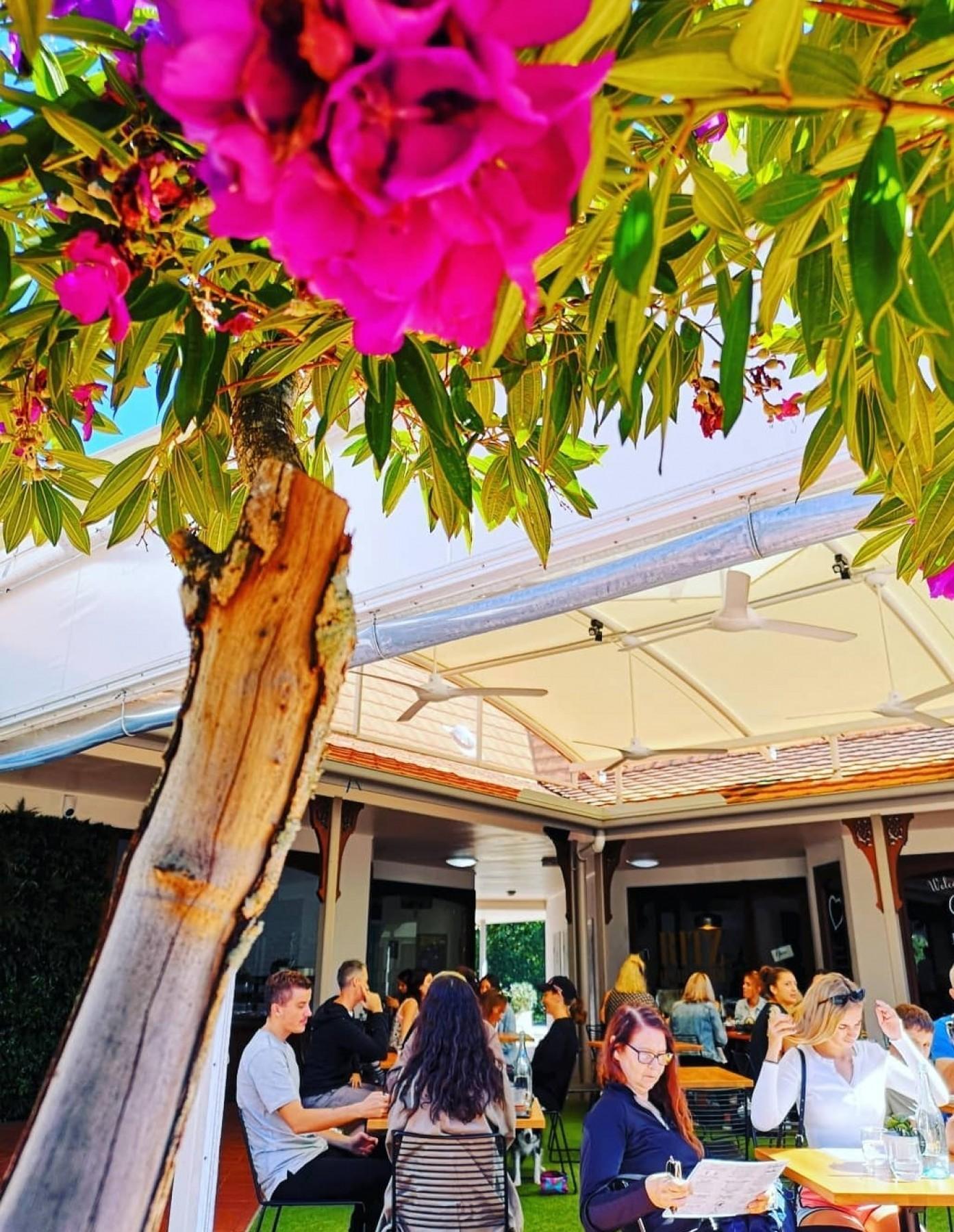 Café Vie It's a Plant Kinda Thing! Business For Sale For Sale Sunshine ...